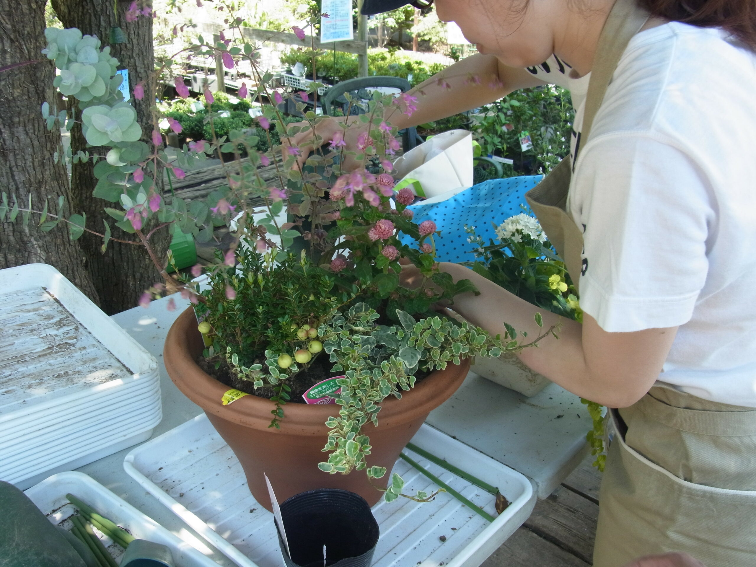 親子で寄せ植え倶楽部 ガーデン倶楽部ブログ