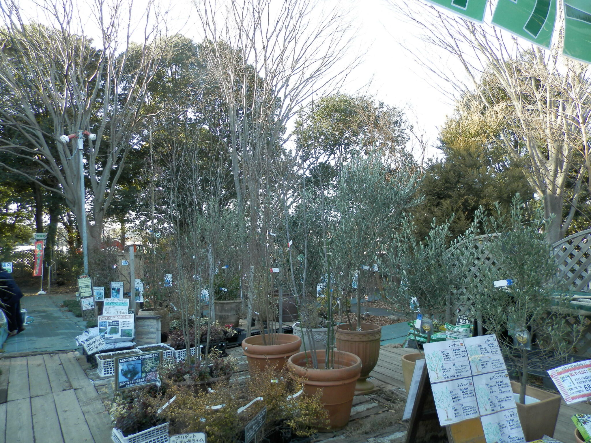 3連休は家族でお庭に木を植えよう! ガーデン倶楽部ブログ